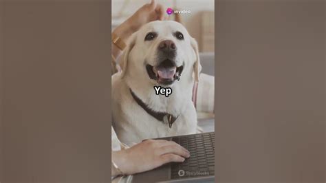 Neural Networks Explained In 60 Seconds 60seconds Python