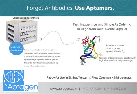 What Are Aptamers