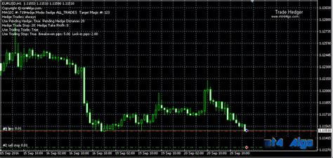 Trade Hedger Ea