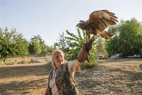 Open Source Airbnb Engineering And Data Science