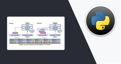 singularity model for video and language learning