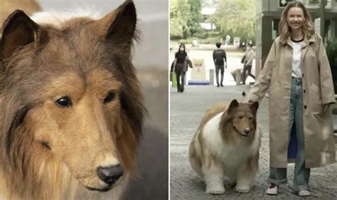 იაპონელმა კაცმა რომელსაც ბავშვობიდან ძაღლად გადაქცევა სურდა ოცნება 14 000 დოლარად აისრულა