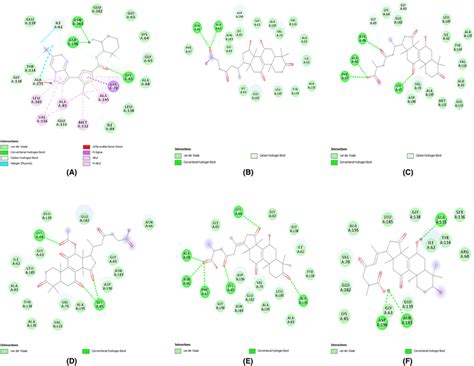 The 2d Interaction Diagram Of The Docked Ligands With The Active Site