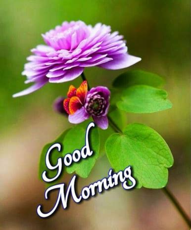 Sexy Good Morning Images