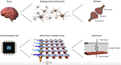 Startup Innatera Claims Worlds First Mass Market Neuromorphic Edge Mcu