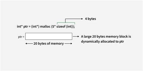 dynamic memory allocation in c using malloc calloc free and
