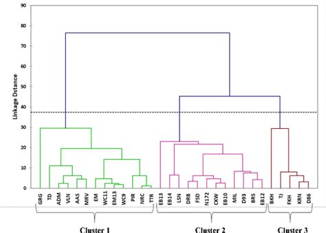 Dendrogram Analysis Showing Three Clusters I E Cluster 1 Tolerant Download Scientific
