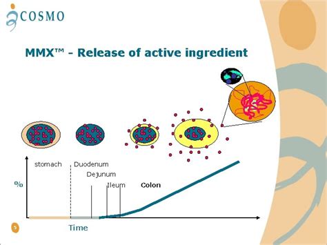 Mmx Multi Matrix System Presentation Disclaimer Important Notice