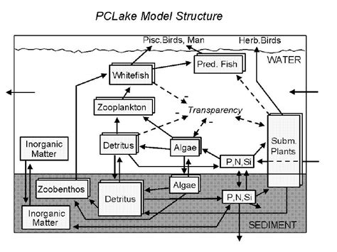 Model Structure Of Pclake Download Scientific Diagram