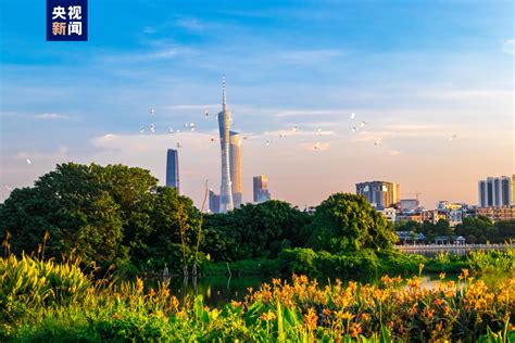 广州海珠国家湿地公园成功列入国际重要湿地名录 广东已有6处入选南方网