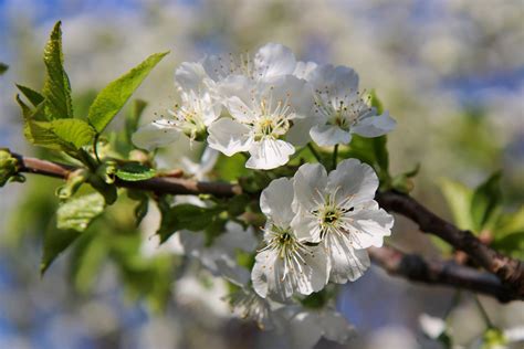 Canon Bulgaria Дойде моментът да представим нашия фотограф на месец юни Радослав Свирецов