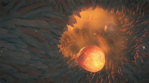 떠다니는 장내 박테리아 장내 마이크로바이옴은 장의 소화와 면역 체계를 제어합니다 프로바이오틱스는 유익한 박테리아입니다 마이크로