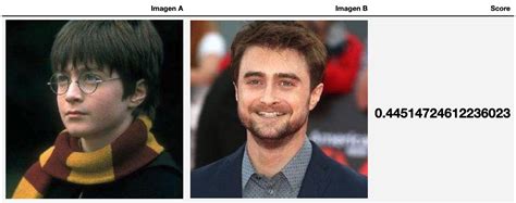 What Detector Used On Recognition Demo · Issue 2122 · Deepinsight Insightface · Github