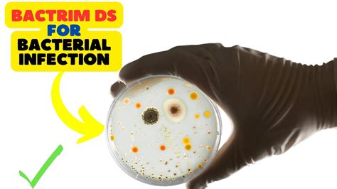 Bactrim Ds Tablet Common Applications For Effective Bacterial