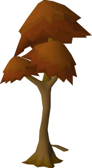 Maple Tree Osrs Wiki