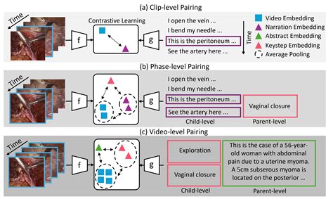 Procedure Aware Surgical Video Language Pretraining With Hierarchical