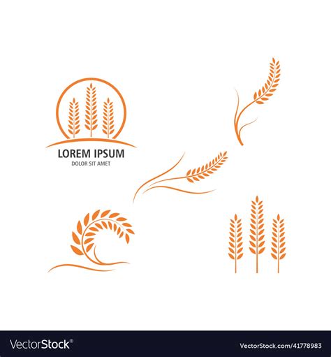 Wheat Royalty Free Vector Image Vectorstock