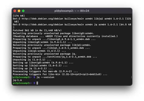 How To Enable Updates For Headless Plexamp On Raspberry Pi Get The