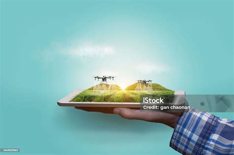 농업 드론은 사탕 수수 밭에 뿌려진 비료로 날아갑니다 똑똑한 농부는 연구 분석 지형 스캐닝 기술 똑똑한 기술 개념과 같은 다양한 분야에 무인 항공기를 사용합니다 대두 콩에