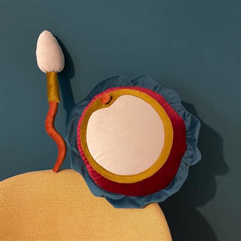 Sperm And Egg Cell Anatomical Plush Models Educational Plushies Biology Toy Sex Education Etsy