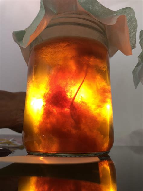 I Have Been Developing A Scoby From A Store Bought Tea Does This Look