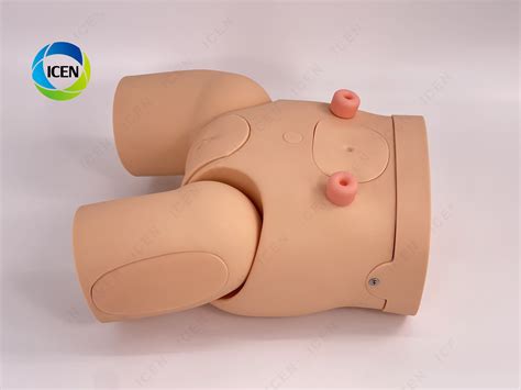 In M9 Male Urinary Catheterization Training Simulator Male Bladder Model Nursing Teaching Model