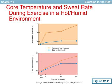 Ppt Temperature Regulation Powerpoint Presentation Free Download Id6229217