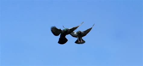 Chetan Menaria Photography