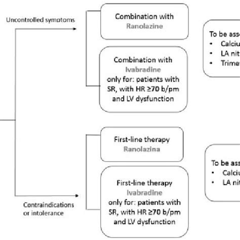 Algorithm For Optimal Management Of Symptomatic Treatment Of Patients Download Scientific