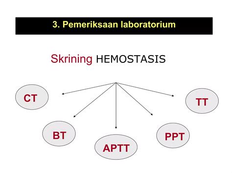 Hemostasis Uii Ppt