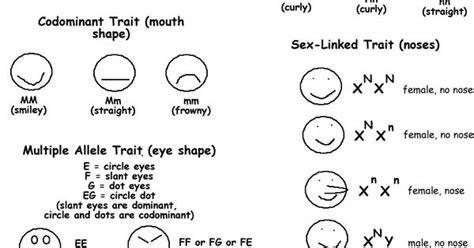 Genetics Project Design A Species Design Talk