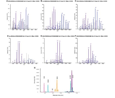 set up for selective reaction monitoring srm assay for b actin