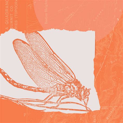 Eastern Forktail Cvnp