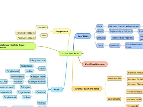 Mind Map Sistem Endokrin Id