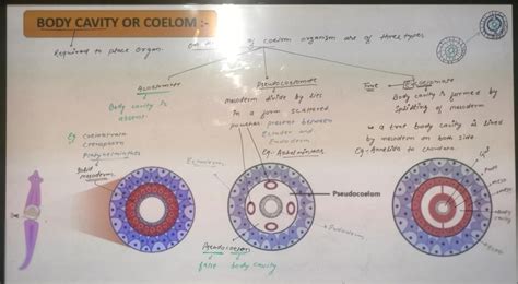 Ishraque Ansari On Linkedin Its Doesnt Matter How Many Times You Fail Just Give Your Best Every