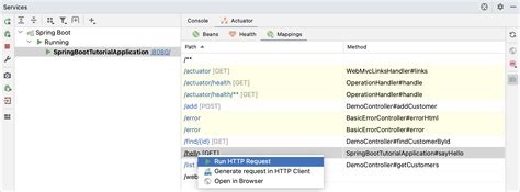 Unable To Debug Spring Boot Application In Int