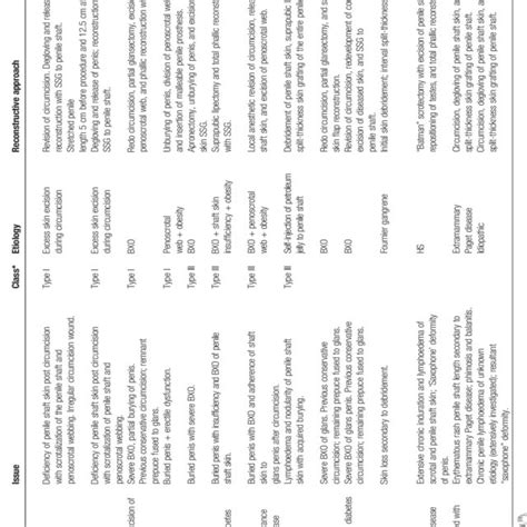 Preoperative Photographs A Excess Skin Excision At Circumcision B Download Scientific