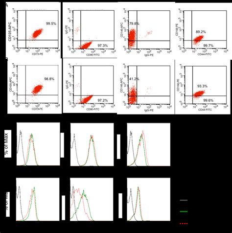 Figure S9 Population Analysis Of MSC By Flow Cytometrie For One