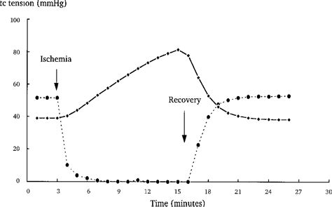 Figure 3 From Transcutaneous Oxygen And Carbon Dioxide Measurement In Peripheral Vascular