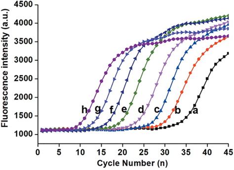 Full Article A Rapid Microfluidic Platform With Real Time Fluorescence Detection System For
