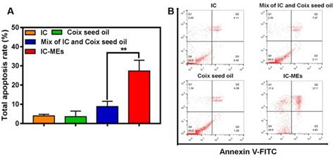 A Quantitative Analysis And B Apoptosis Ratio Of Hepg2 Cells Download Scientific Diagram