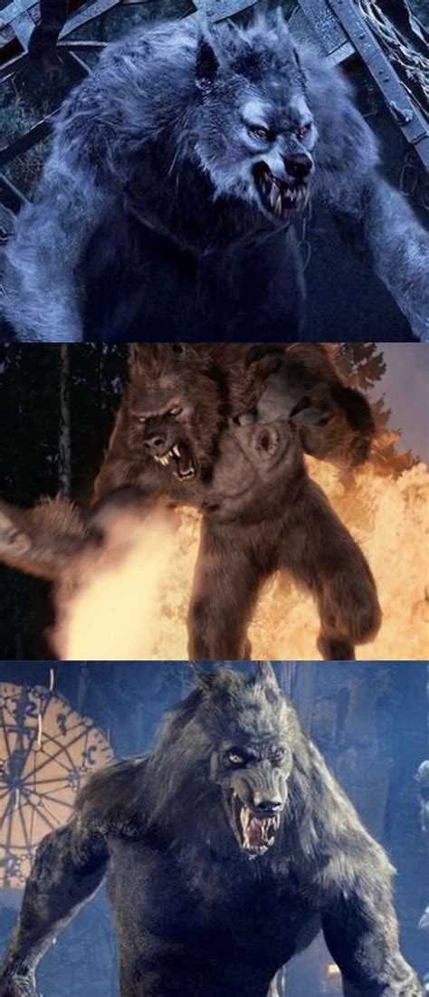 Robert Eggers Reteams With Focus Features For 13th Century Werewolf