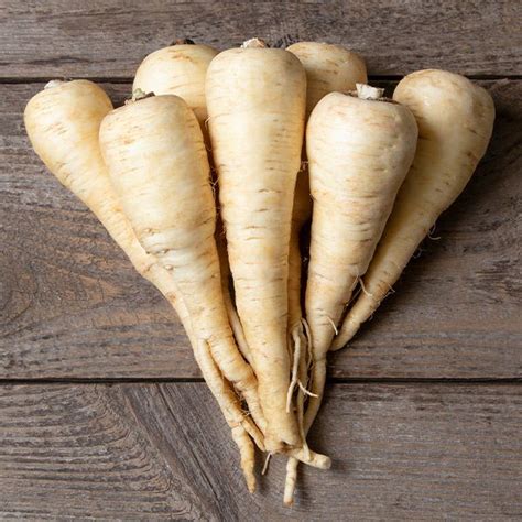 Organic Non Gmo Panorama F1 Parsnip