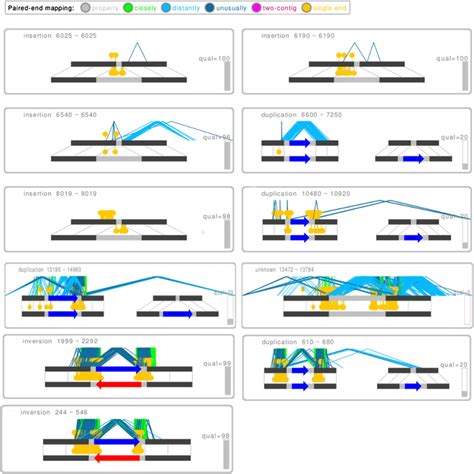 Structural Variations Including Duplications Deletions Inversions Download Scientific