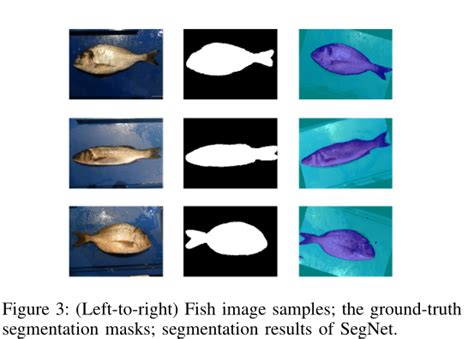 论文翻译：用于鱼类分割和分类的大规模数据集 鱼的数据集 Csdn博客