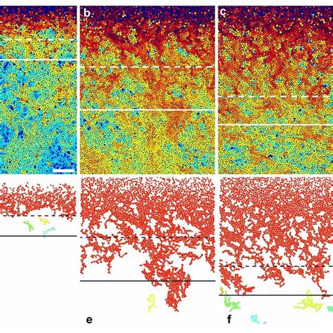 Depth Dependent Particle Displacements A C Typical Snapshots With