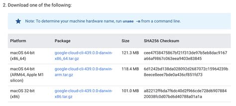 Macos Gcloud Cli