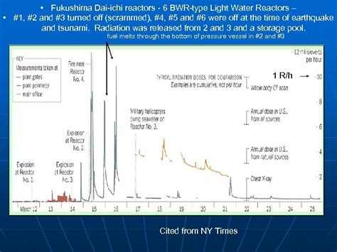 Muons Inc Accelerators For Subcritical Molten Salt Reactors Rolland