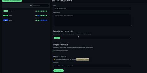 Manual Maintenance Mode Does Not Display Title Or Description · Issue 2371 · Louislam Uptime