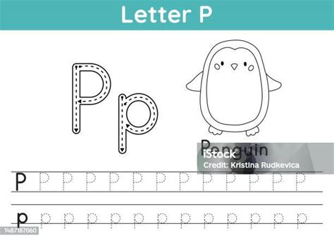 알파벳 Abc Az 운동 색칠하기 페이지 추적 문자 P 색칠하기 책에 대한 어휘 귀여운 만화 펭귄입니다 아이들을 위한 인쇄 가능한 활동 워크시트 교육용 게임 벡터 그림 0